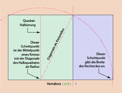Fibonacci-Zahlen: Was ist die goldene Spirale? | viaprinto
